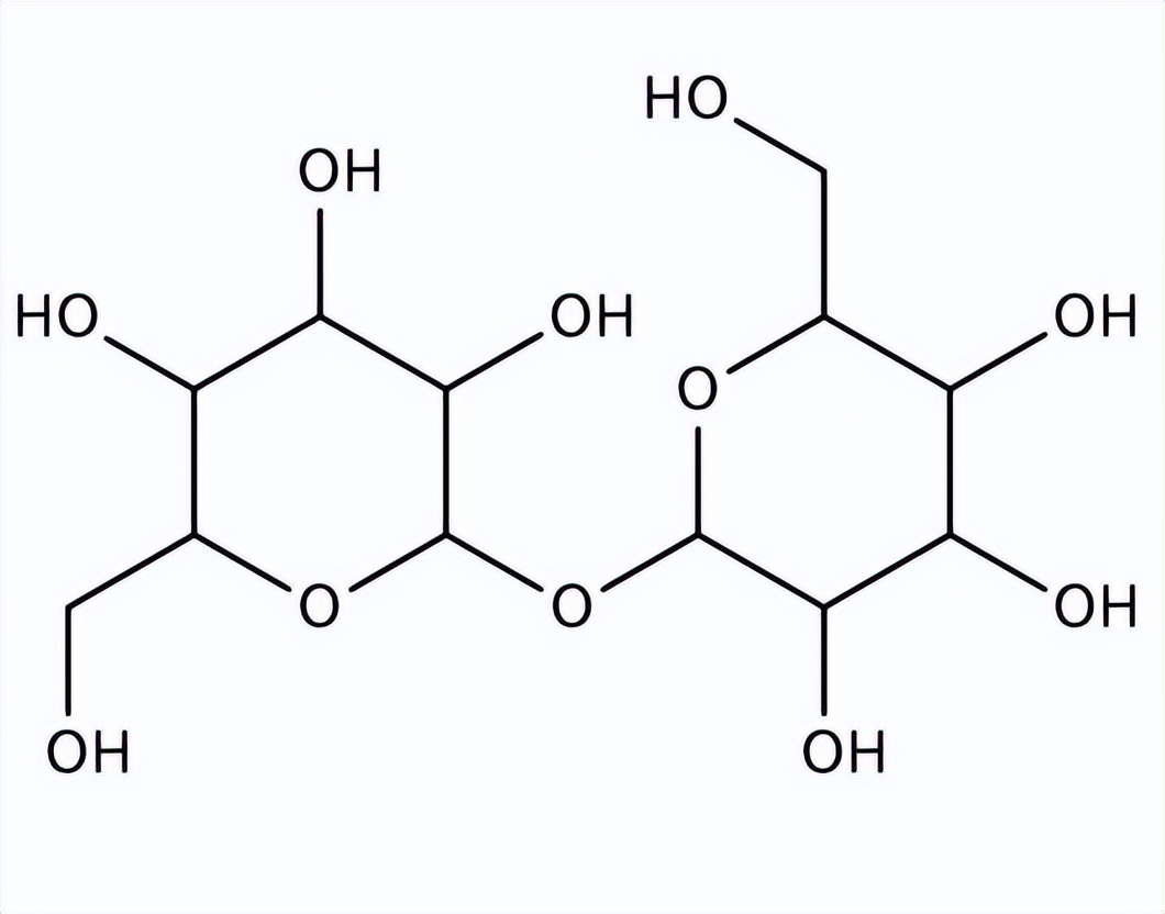 Skin moisturizing factor trehalose, the miracle of life from desert ...