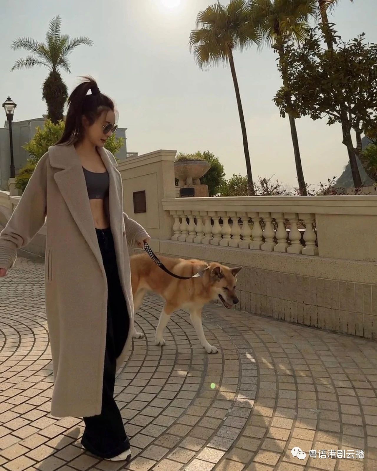 Lin Xiawei released the dog and showed off her zero-fat curvy beauty ...