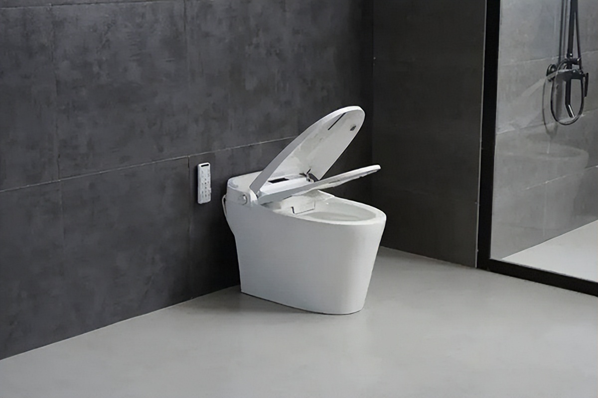 Bathroom upgrades: the transition from traditional to modern toilets ...