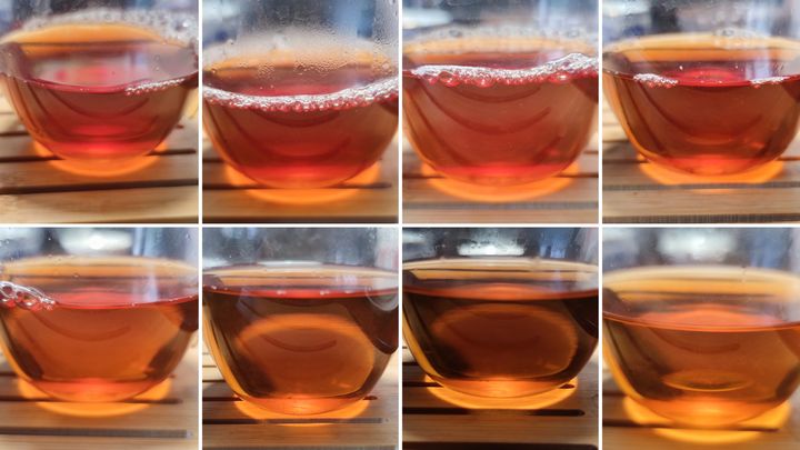 "Rock Tea"Ruiquan Gongfu Rock Cinnamon Evaluation - iNEWS