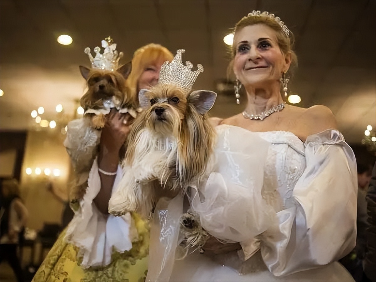 Inbreeding is forbidden by humans, but why do humans let dogs backcross ...