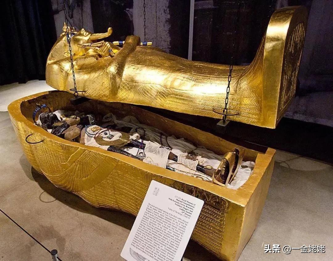 Does mummification really bring life back to life? - iMedia