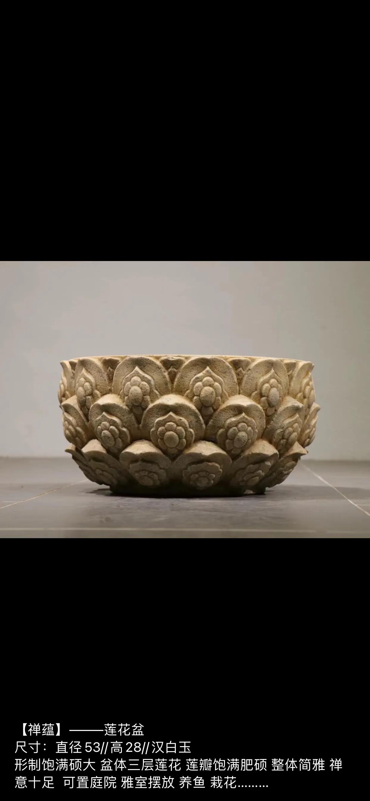 [Zen Yun]——Lotus Pot - iMedia