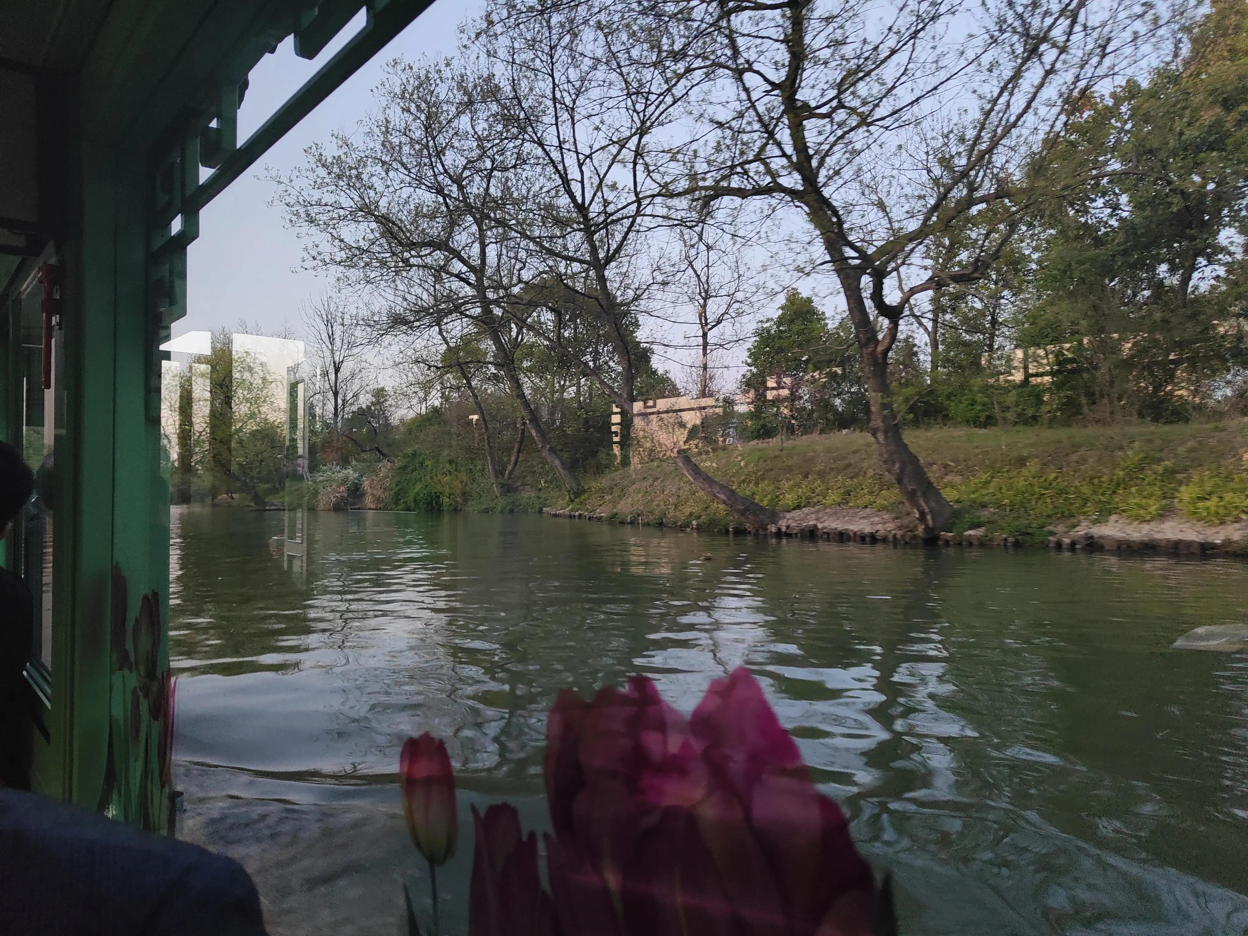 chasing light - iNEWS