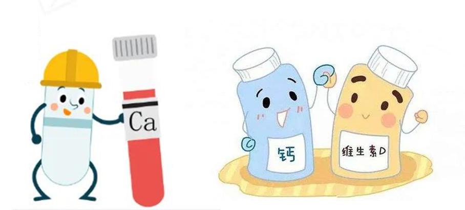 Prevention and treatment of osteoporosis, the correct way to take ...