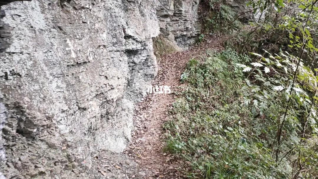 Yulong escapes, Fang Zhilong is not a legend - iNEWS