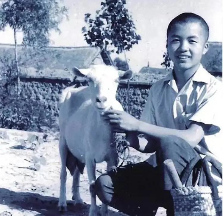 In 1993, Gu Cheng slashed at his virtuous wife with an axe and then ...