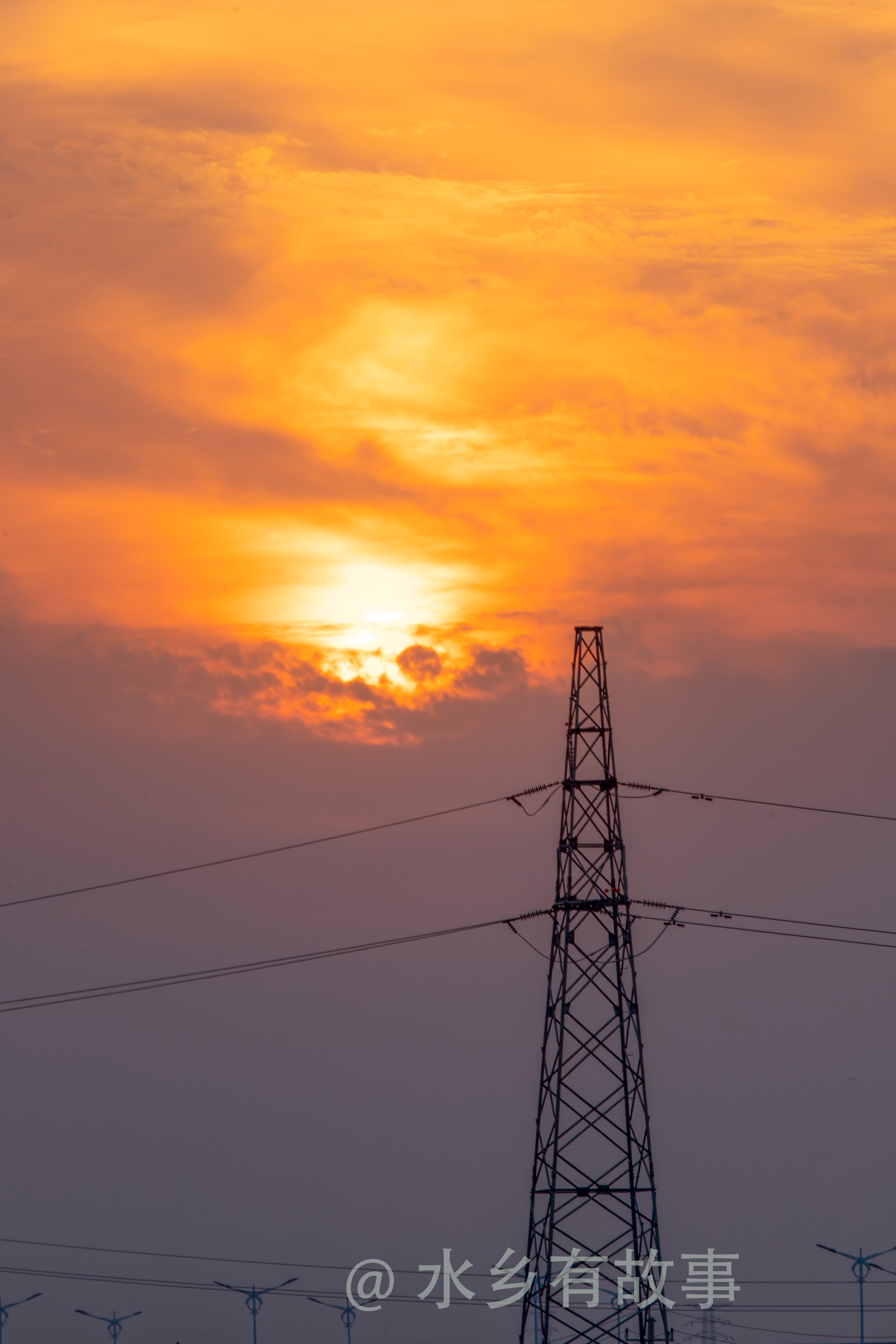 Suaeda salsa has turned red in Tianjin Dagang Oilfield - iNEWS