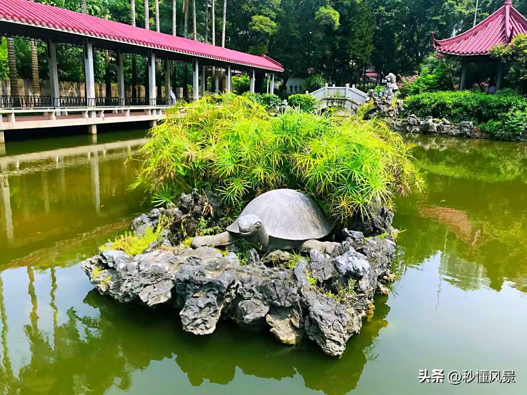 A park in Guangzhou is very popular. It is hidden in the bustling city ...