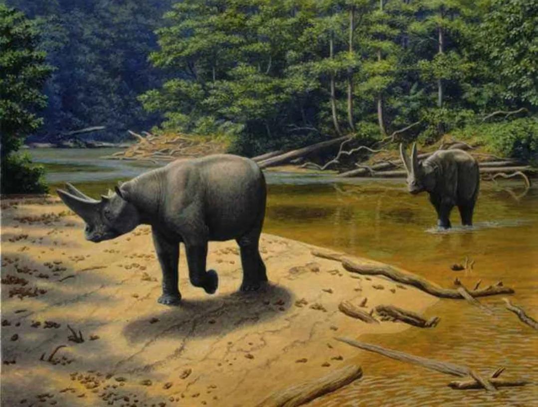 (42) Ancient Elephants - iNEWS