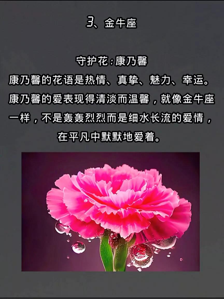 What is the guardian flower of the twelve constellations? - iNEWS