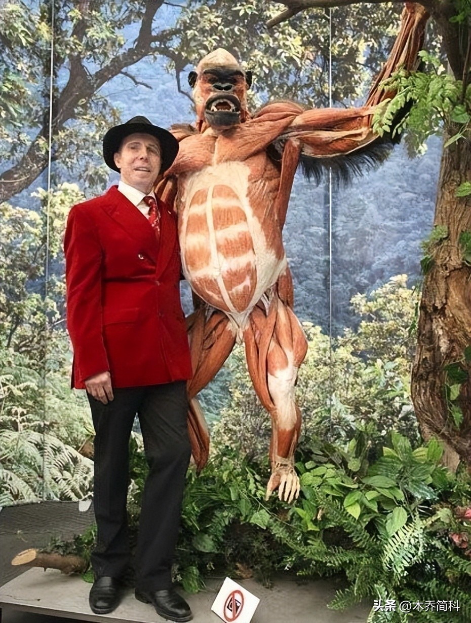 The Movie "Mr. Death": Exploring the Life and Death and the Meaning of ...