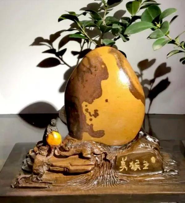 Breathtaking (231) - Yingtan Chen Jiaming's collection of stones - iNEWS