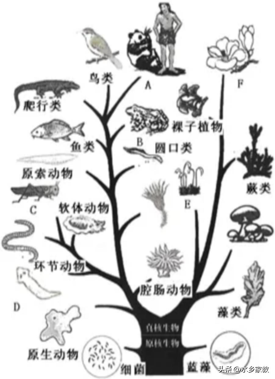 High-dimensional life has wisdom and energy far beyond our three ...