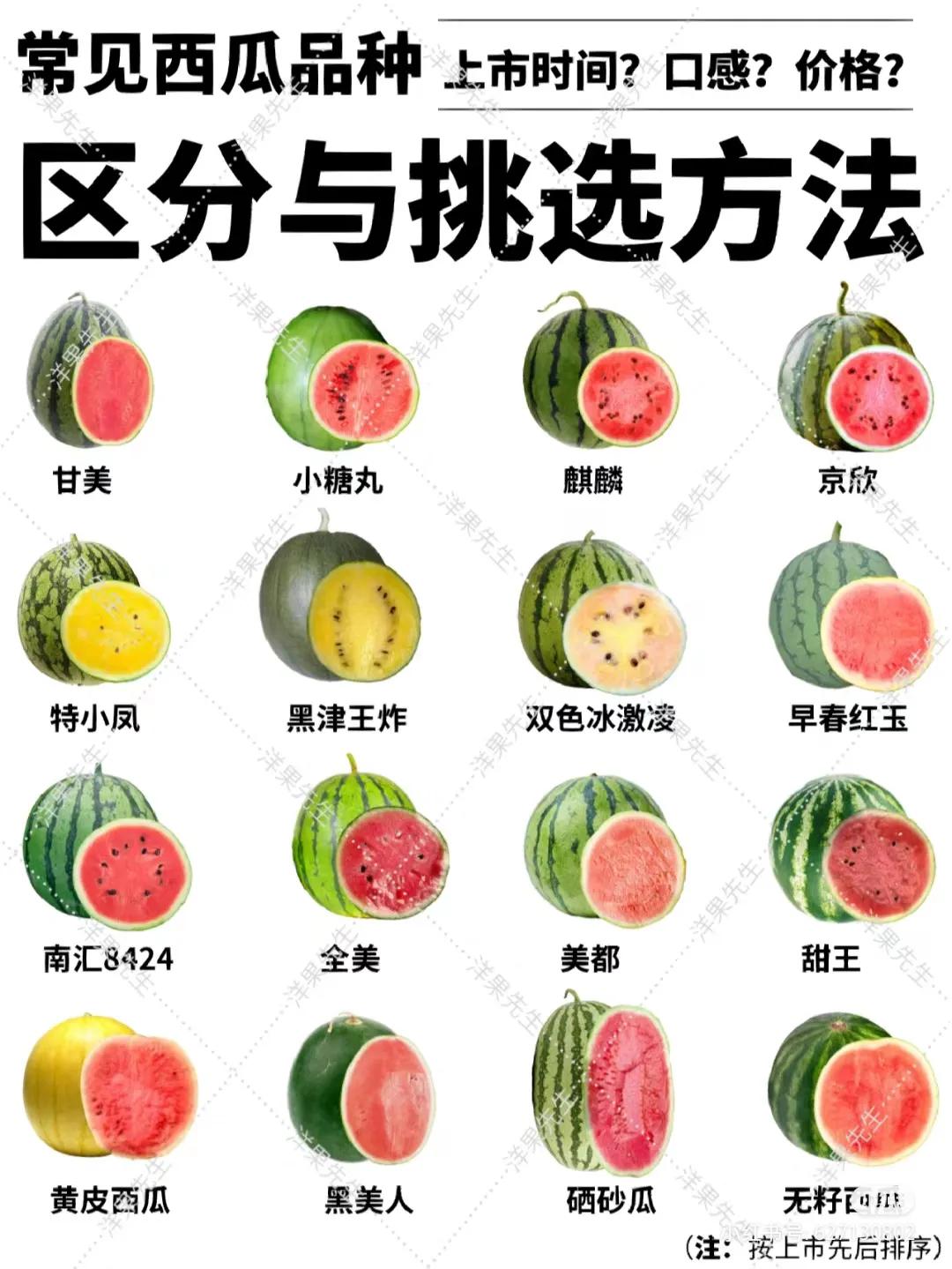 [Watermelon Survey Report] Eat melons without worries this summer - iNEWS