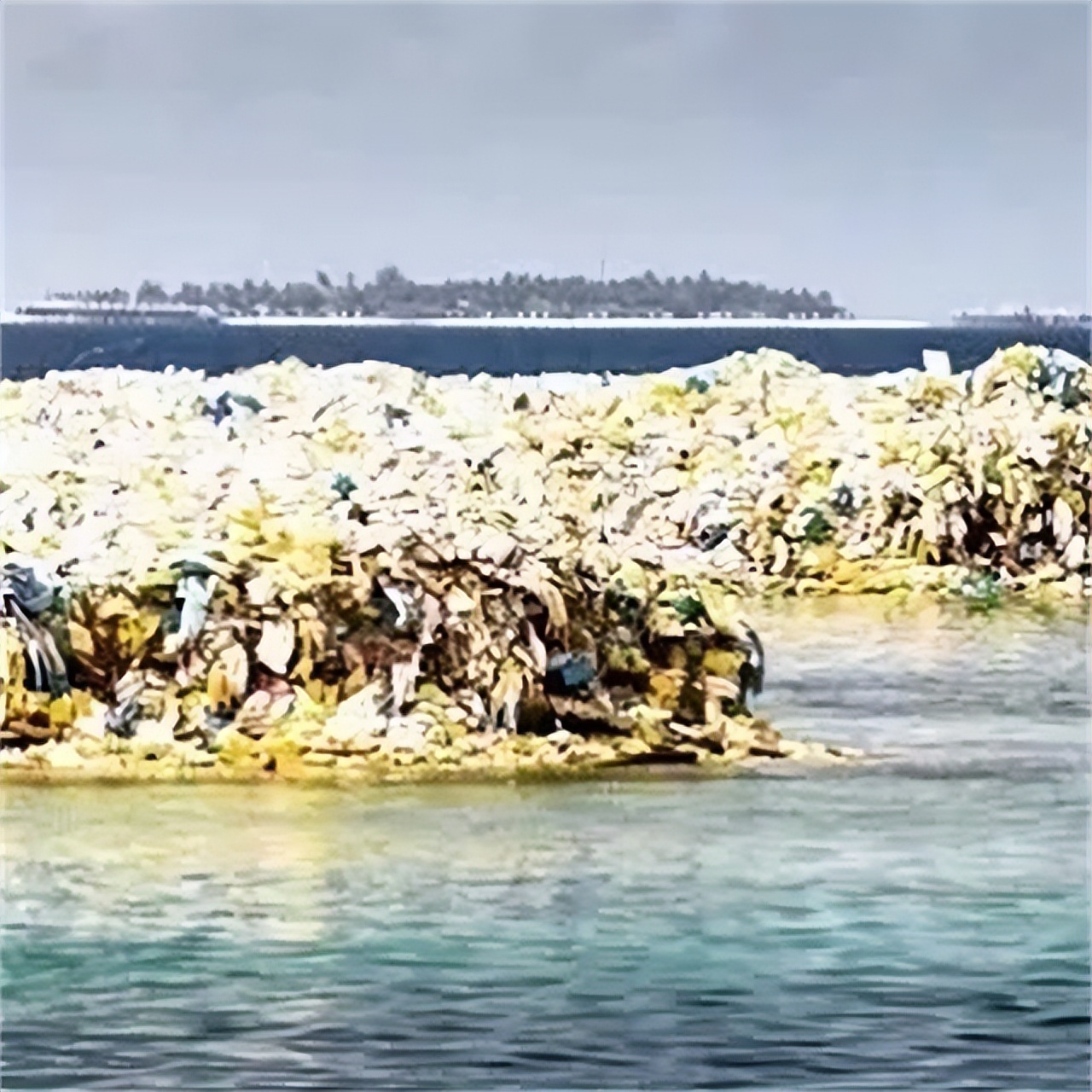The Republic of the Garbage Islands, the 196th country in the world, is ...