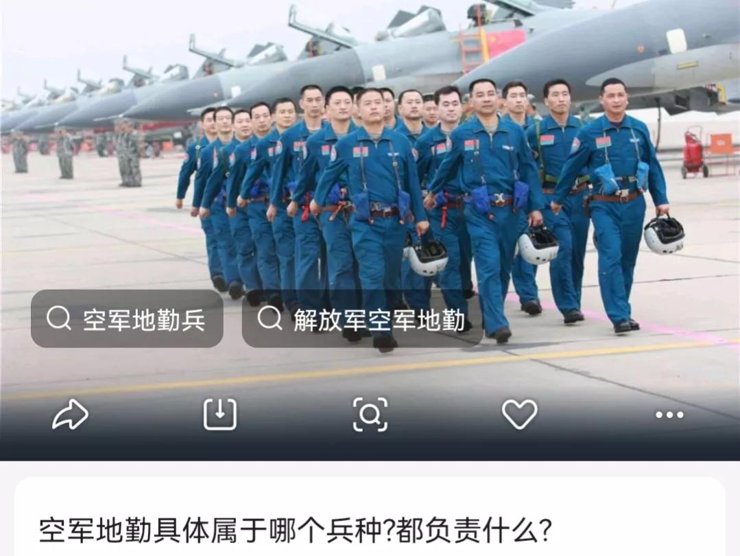 What are the main professional scope and functional responsibilities of ...