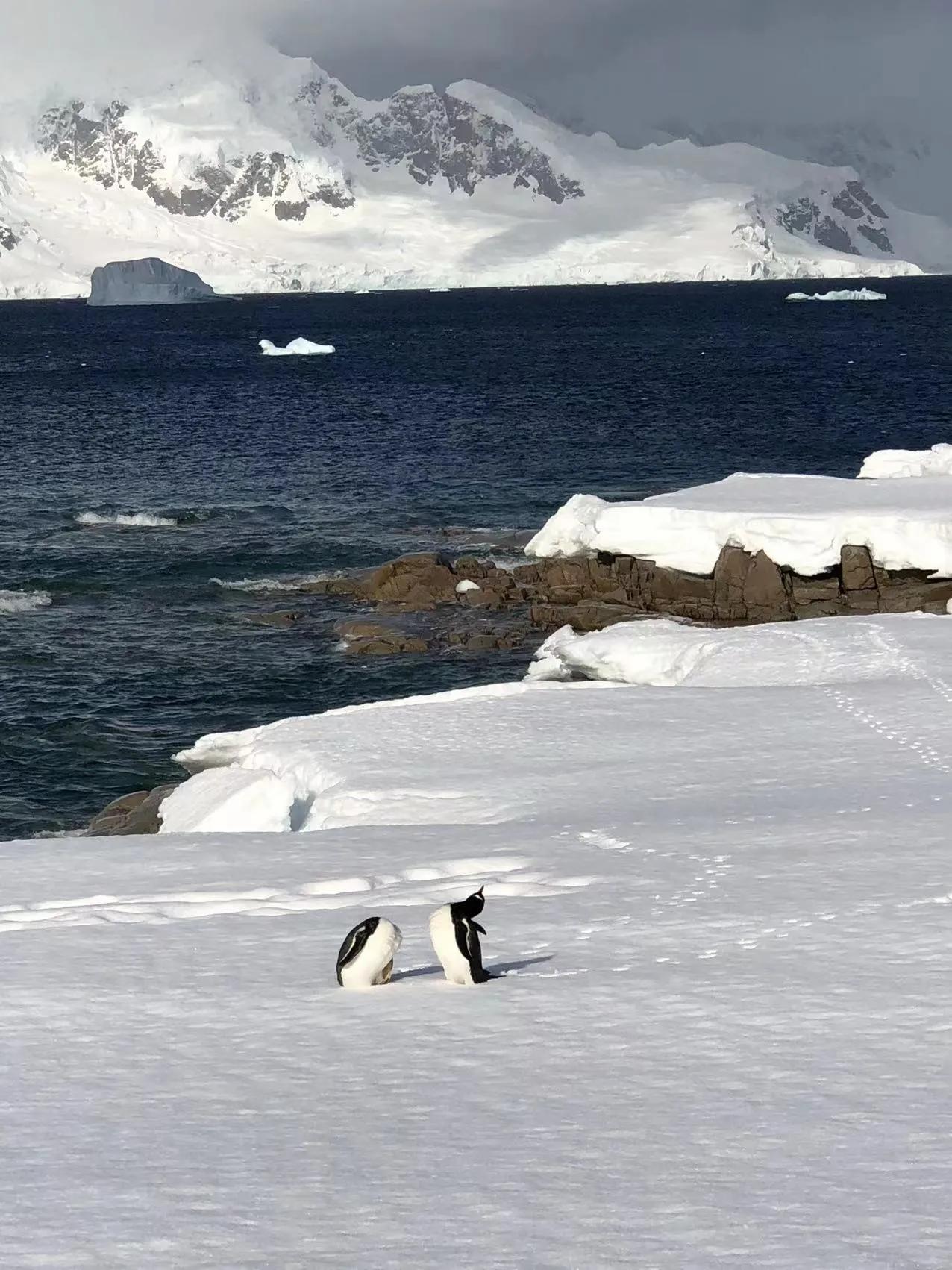 Zhou Guoping's Antarctic Journey - iNEWS