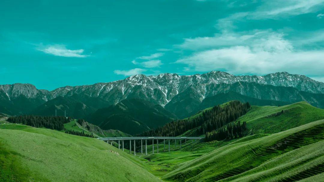 In spring, go to Xinjiang for a walk - iMedia