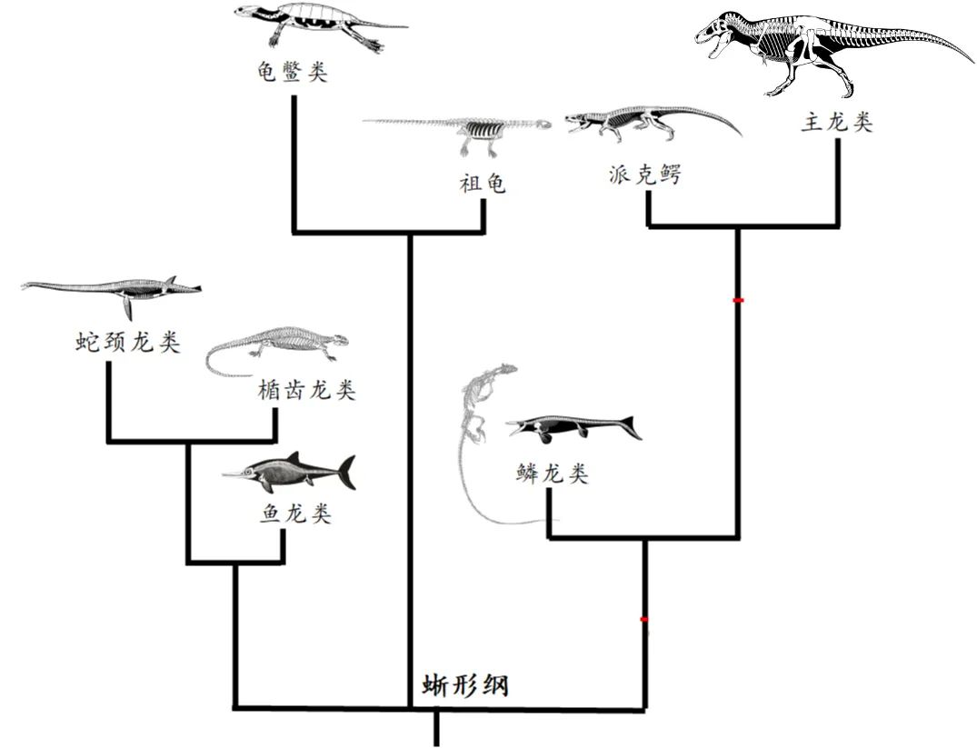 A short biography of mosasaur's shape restoration - iNEWS