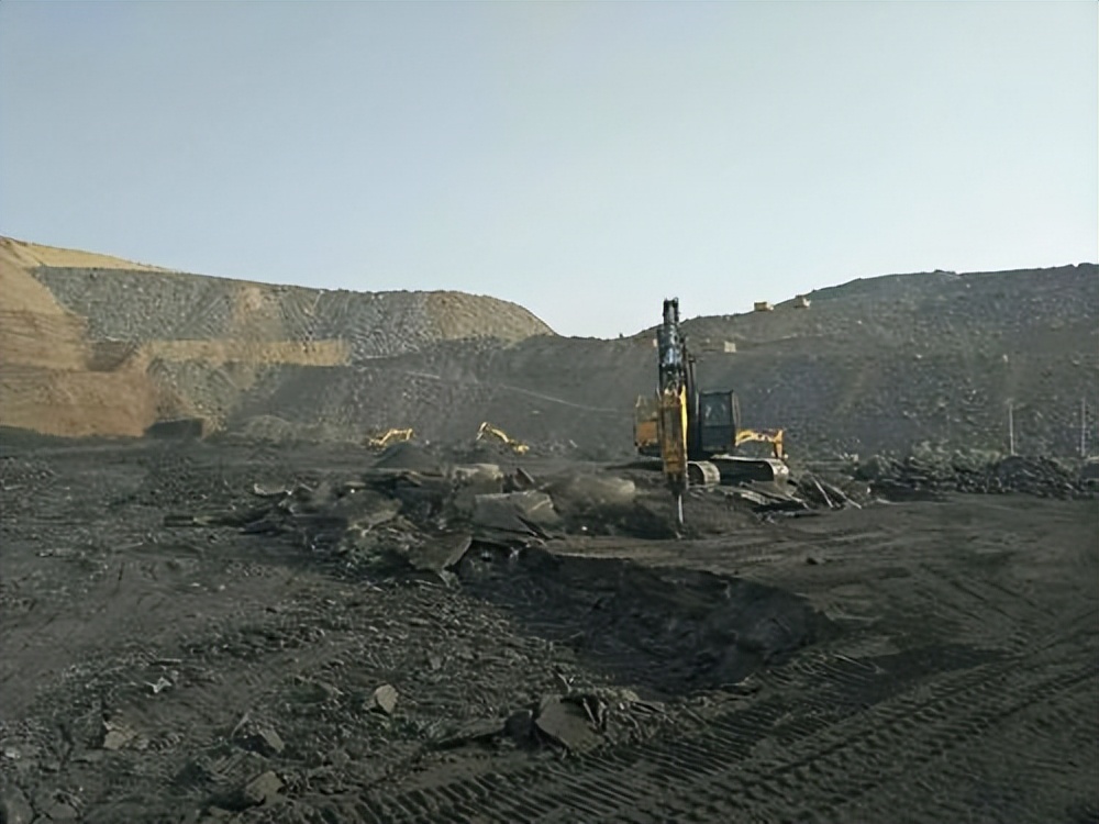 How did plant debris turn into a coal resource? How much plant ...