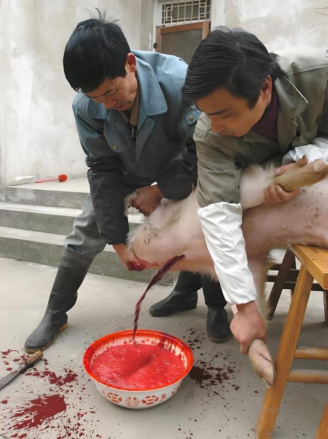 Exploring the bizarre short videos of slaughtering pigs and cattle, the ...