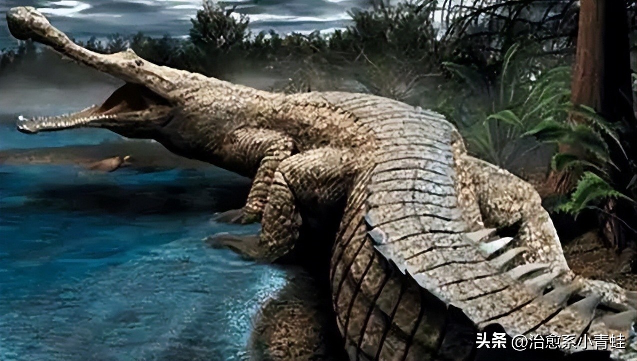 The ten most powerful animals in the history of the earth - iMedia