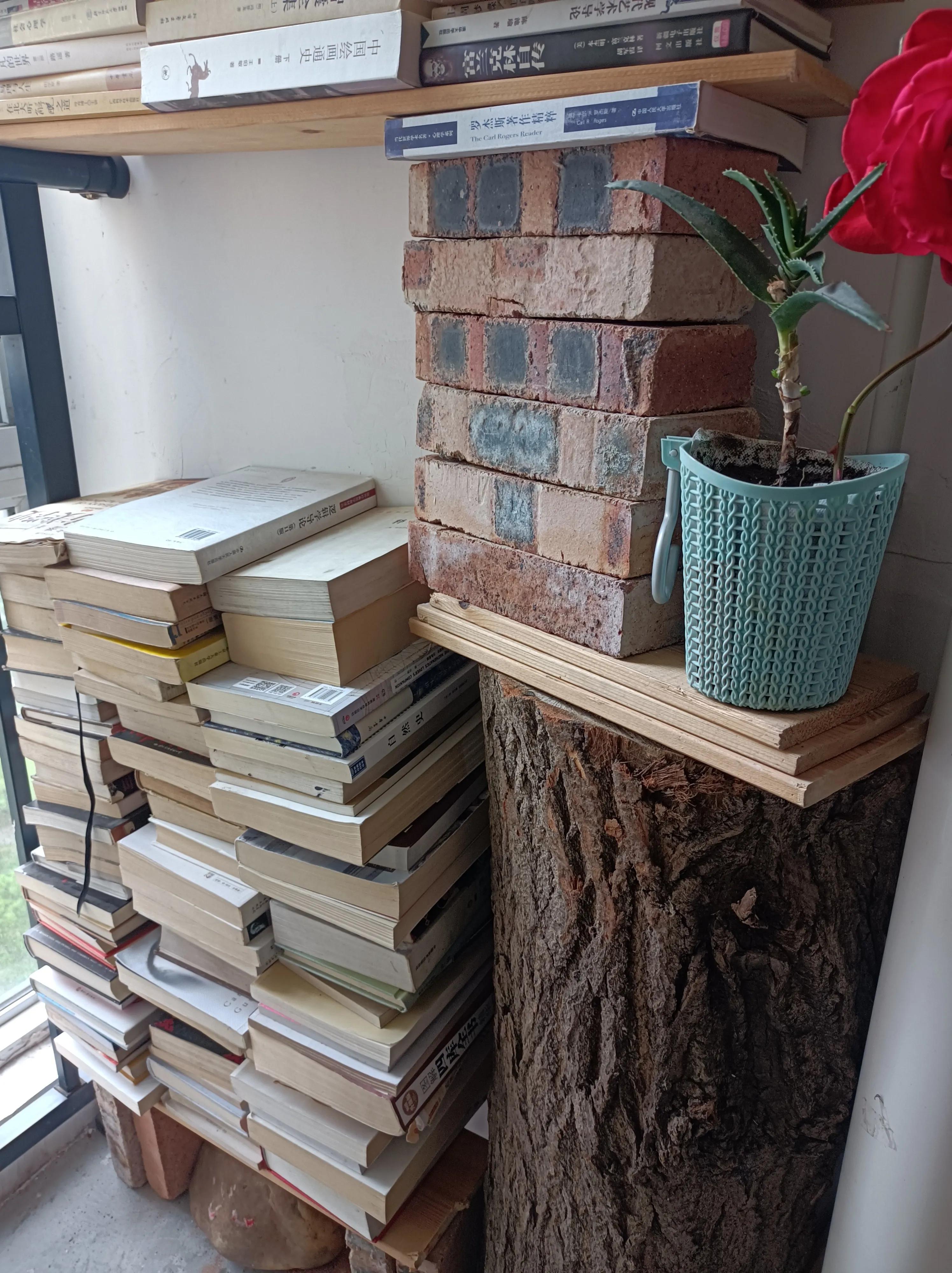 Small fun in rainy days, sawing a piece of wood, making a bookcase. - iNEWS