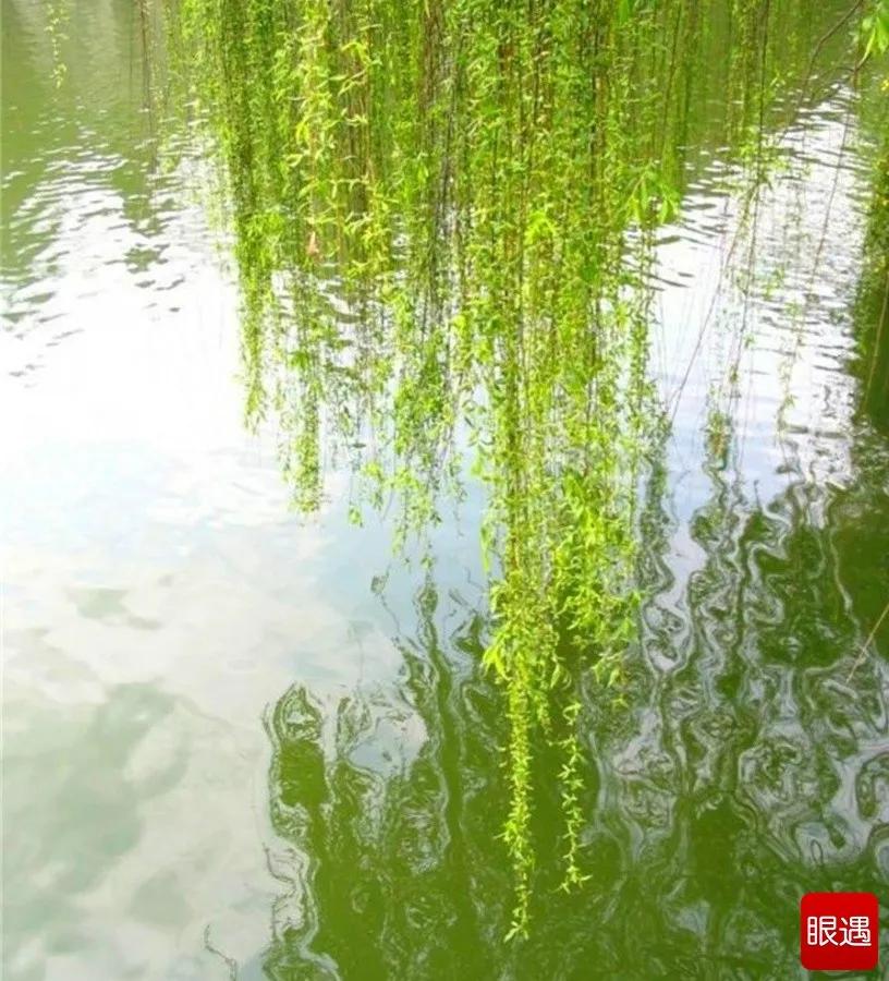 Qian Liu lowered his head - iMedia