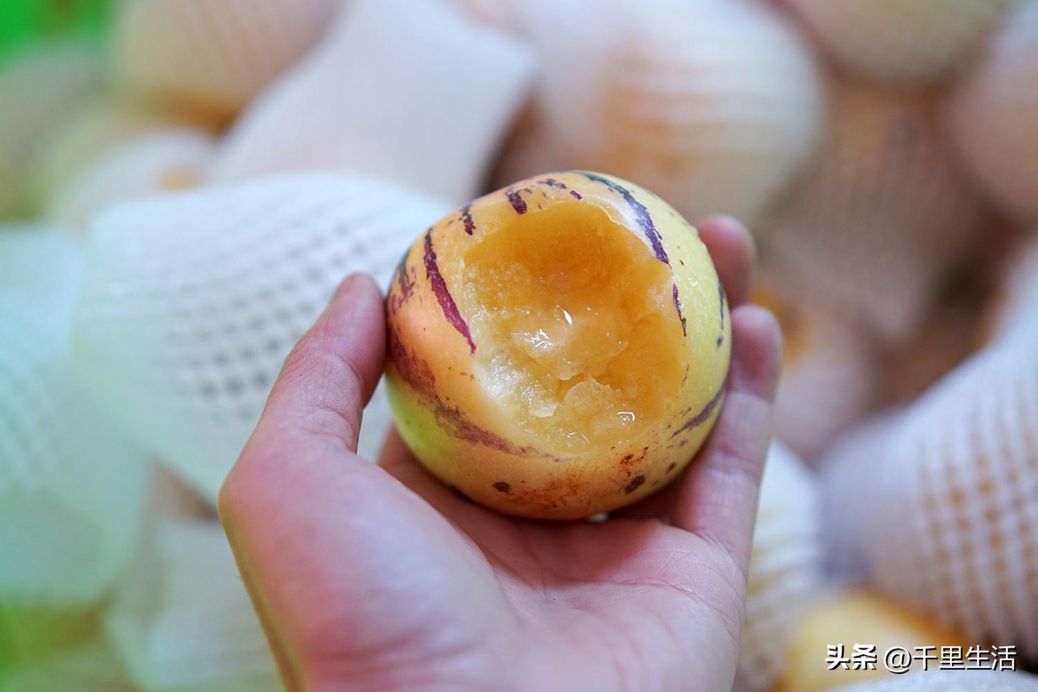 Yunnan ginseng fruit, the "soup bag" in the fruit world, is sweet and ...