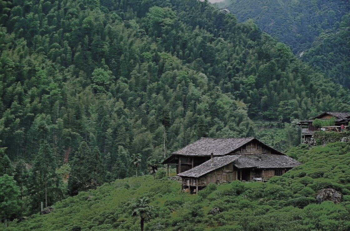 Why can't outsiders enter Tongmu Village at the foot of Wuyi Mountain ...