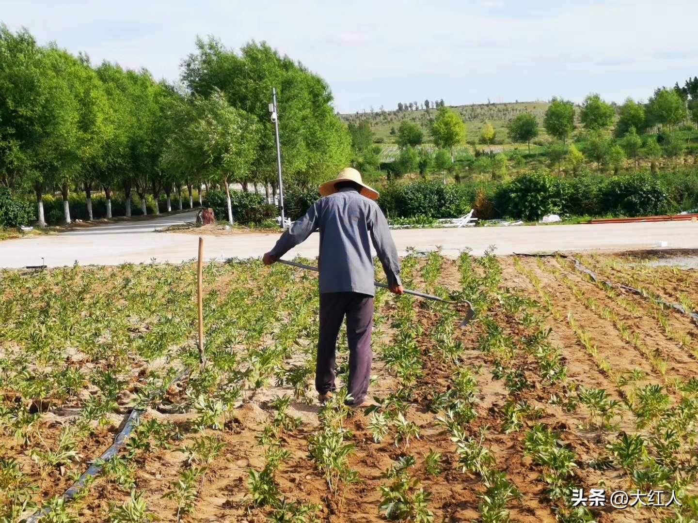 How to accompany your child to "rebel" You and your child's correct ...