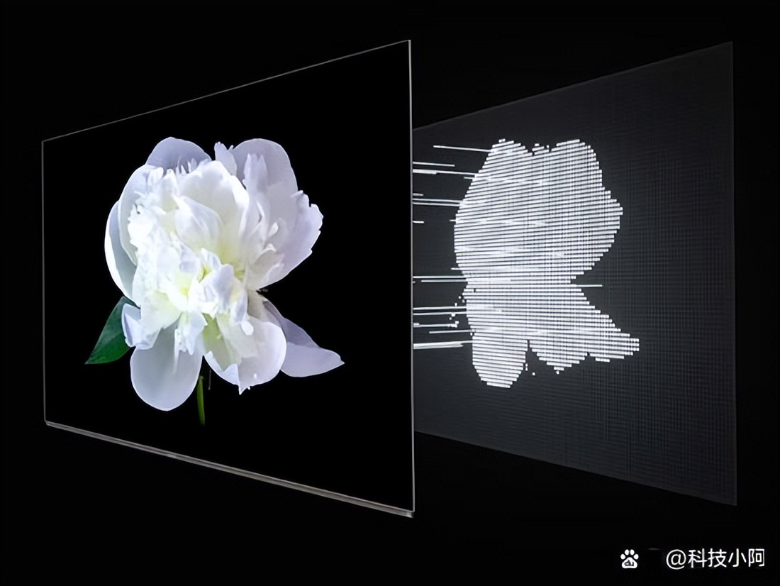 What is an OLED TV?High-end picture quality black technology, take ...