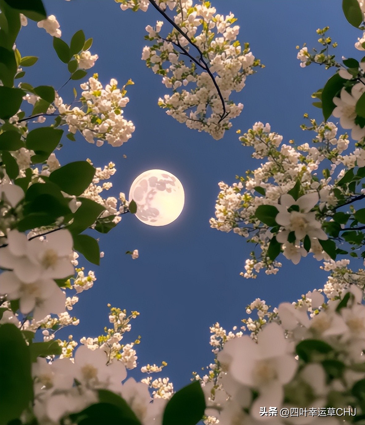 How beautiful it is to write "the moon" into poetry! Every sentence is ...