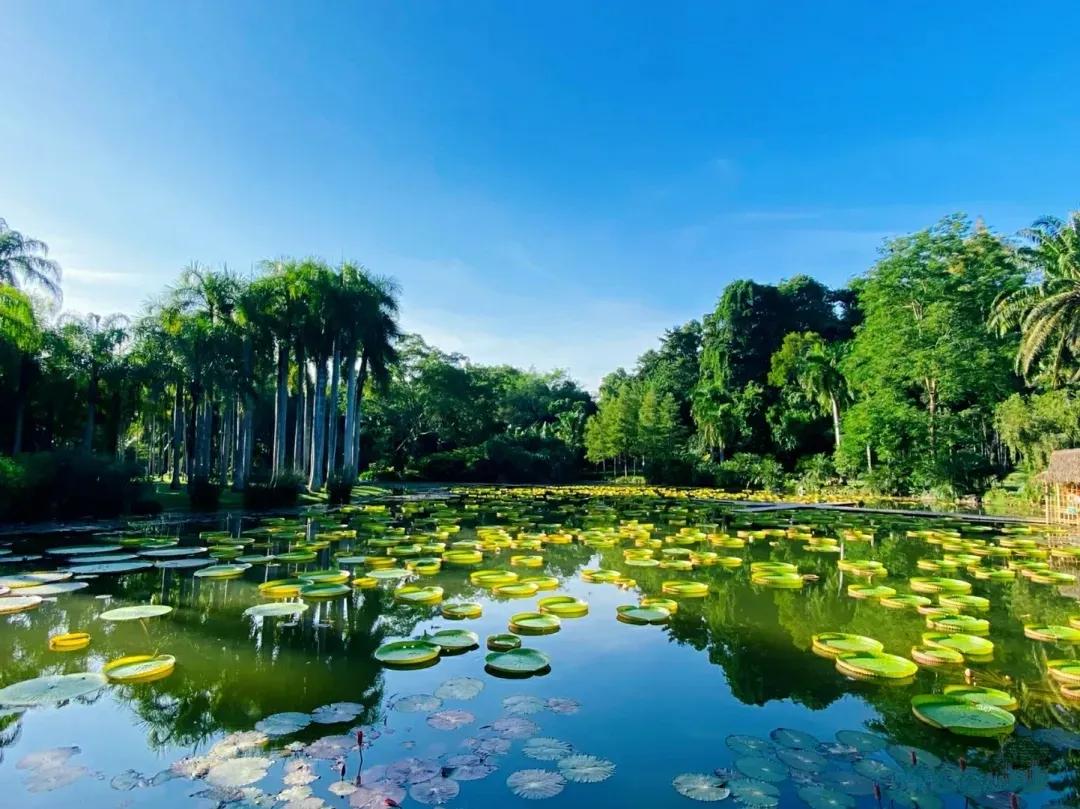 This is the kingdom of animals and plants, and here are enthusiastic ...