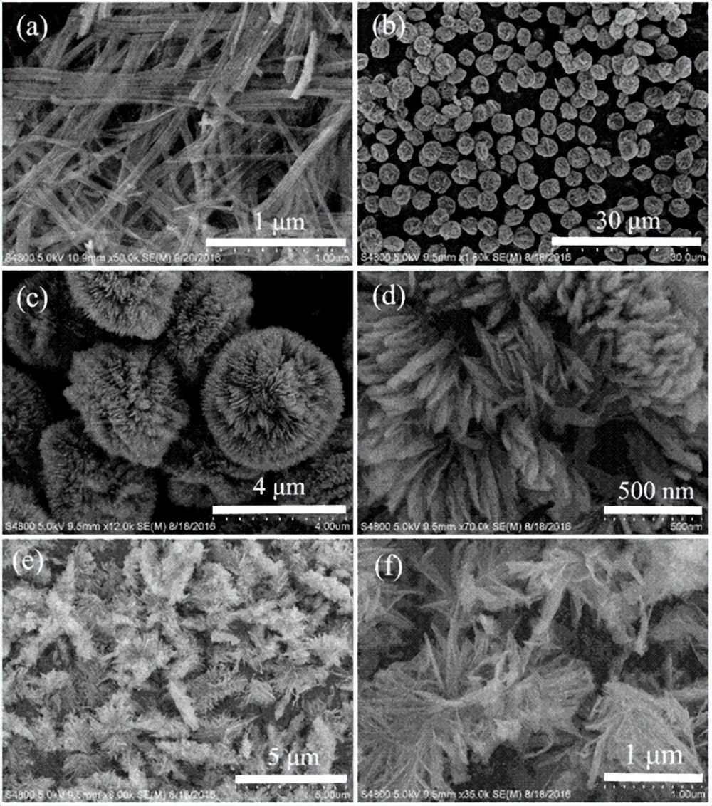 Advances in Hydrothermal Synthesis of TiO2 Nanostructures with ...