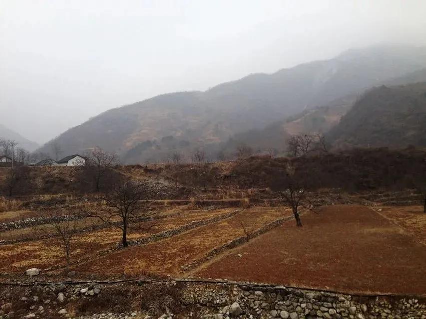 Donkeys in Qinling Mountains - 20140222 Qin-Chu Ancient Road Camping ...