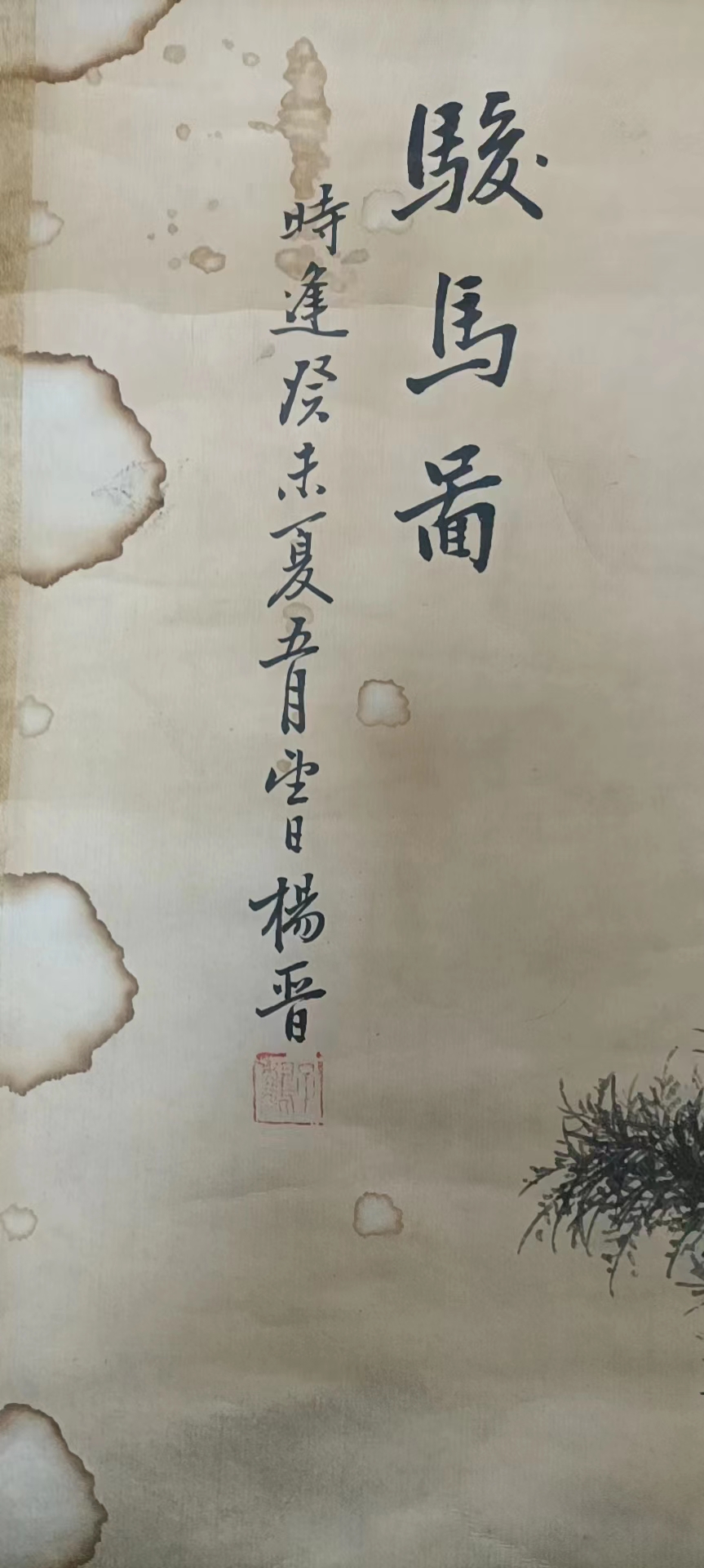 Yang Jin - Horse Picture - iNEWS