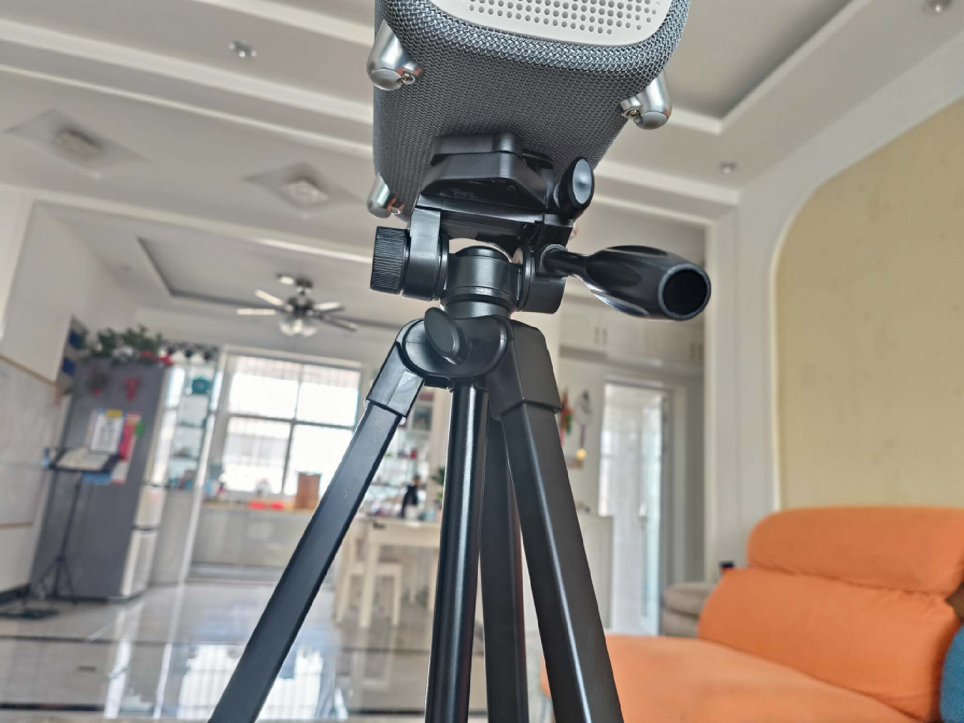 Freeze every wonderful moment, Mipo carbon fiber tripod is the best ...