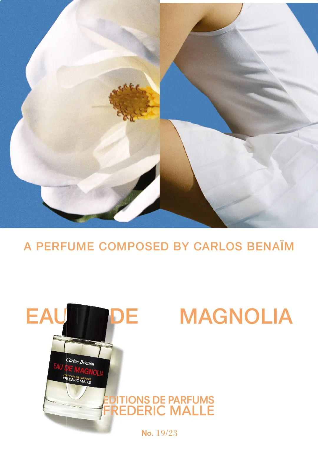 Elegance is more than clothing - a fantastic fantasy about French ...