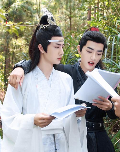 The Fifth Anniversary of "The Untamed": The feeling of envy remains ...