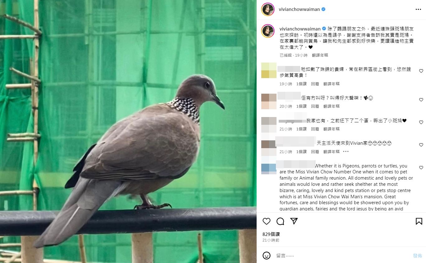 Zhou Huimin was rumored to be divorced and Ni Zhen left the house! Ins ...