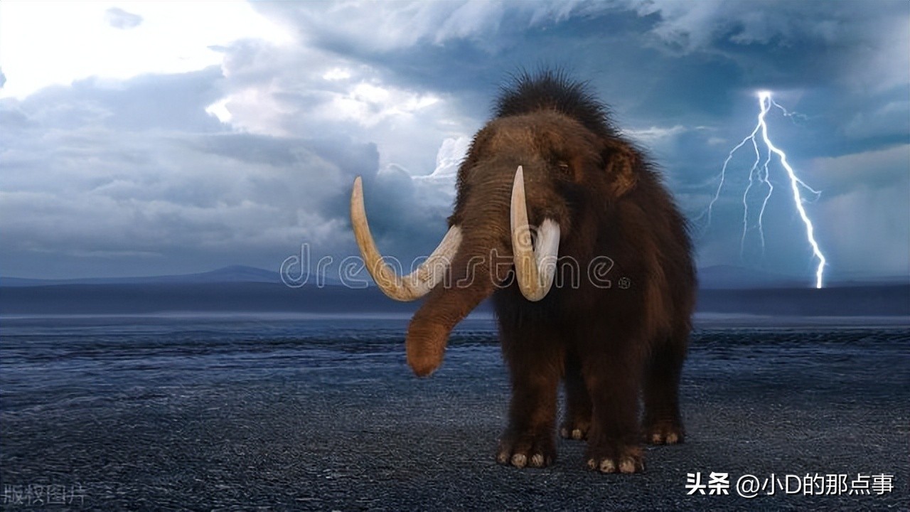 Deliciousness through time and space: Why do mammoth meatballs attract ...