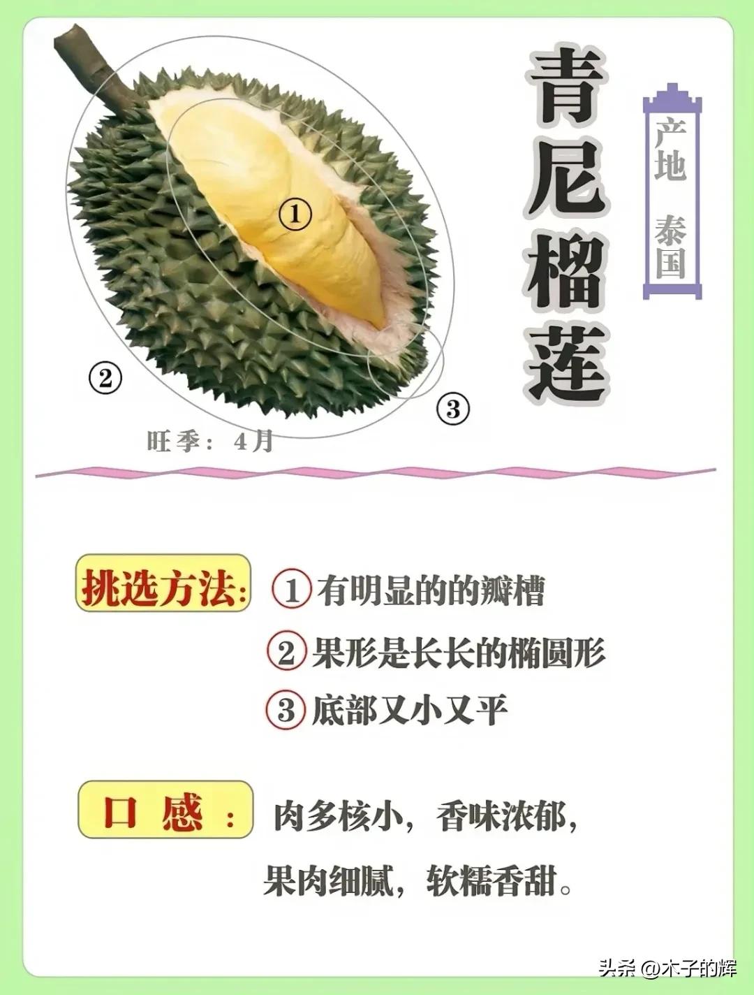 Common Durian Selection Guide - iNEWS