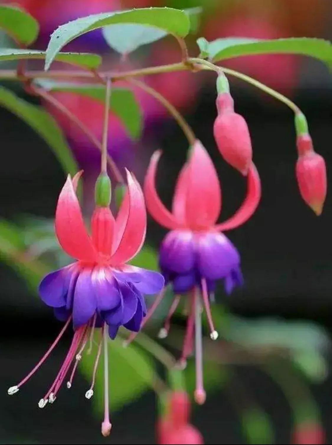 Reading the Tao Te Ching, all things depend on them to live without ...