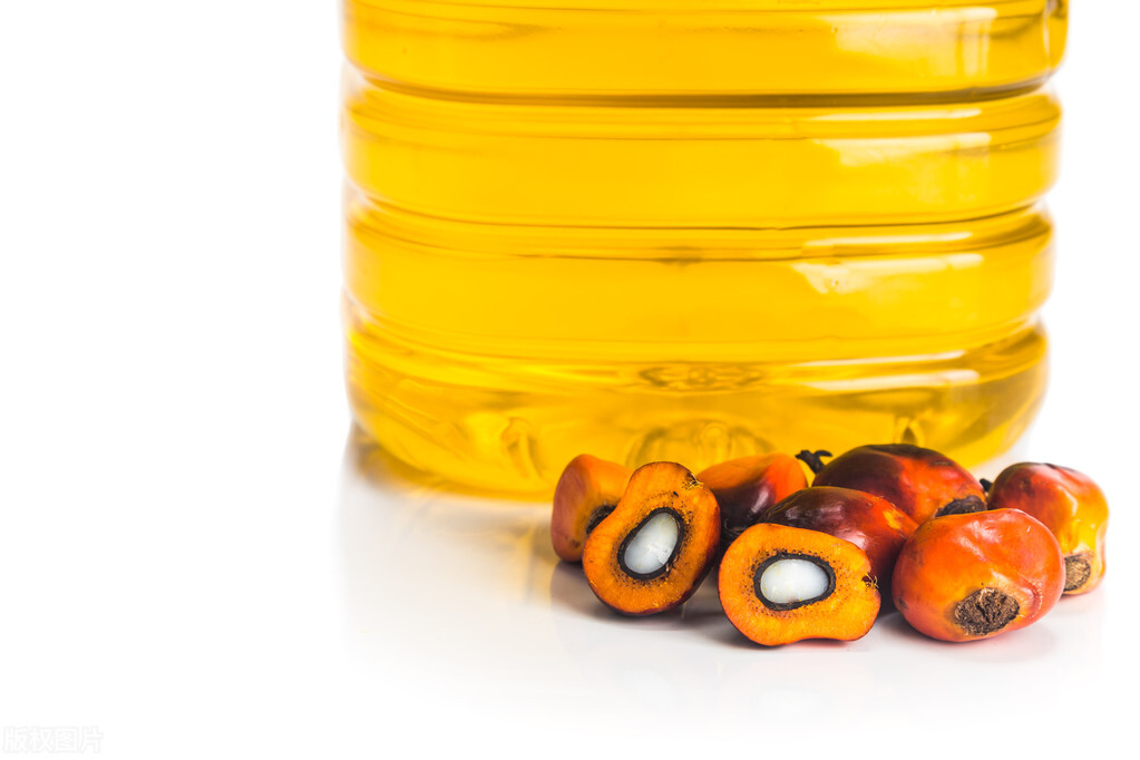 Palmetto (astringent hemostatic) - iNEWS