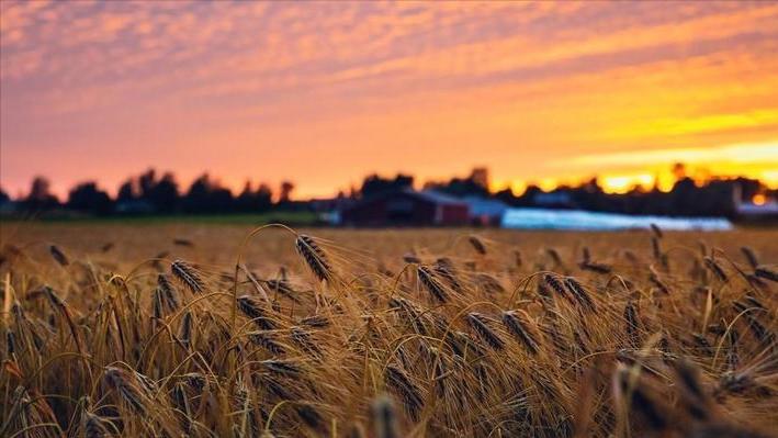 A constellation with great potential and a strong and ruthless ...