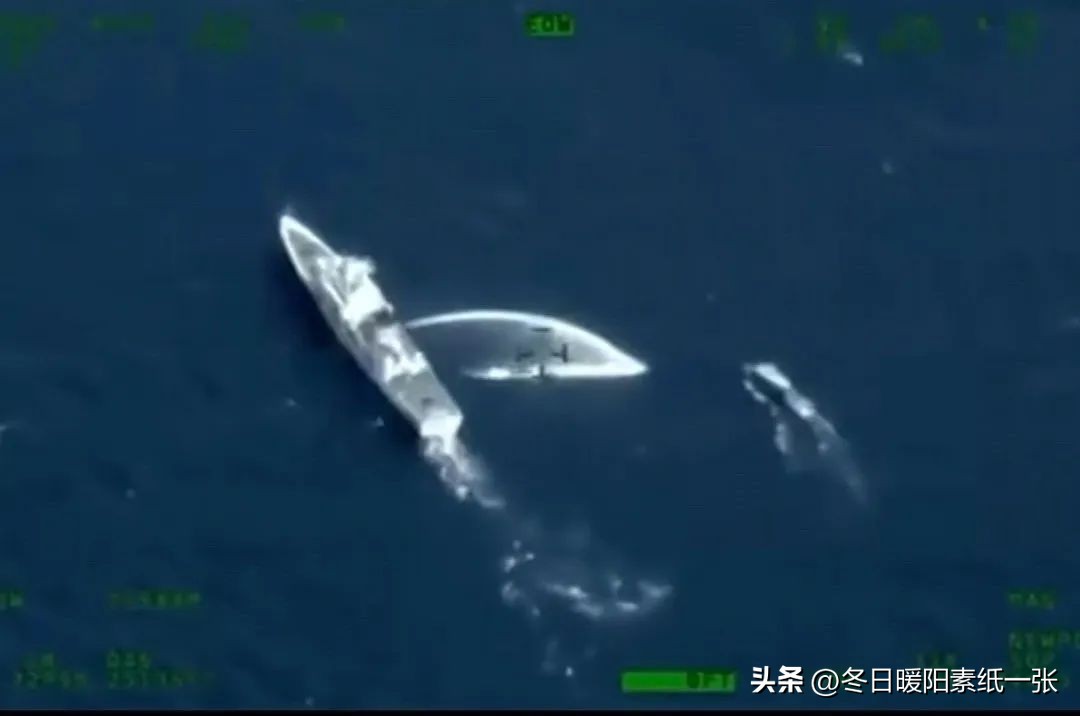 Ren'ai Jiao beats the dog with an iron fist, and the US aircraft ...