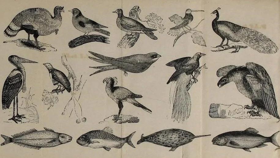 What is "science"?(one) - iNEWS