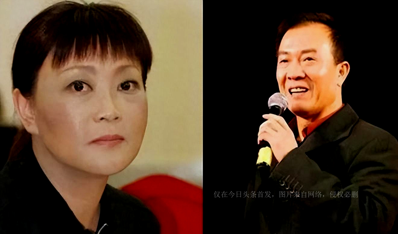 After 19 years of divorce, looking back at the situation of Yang Lei ...